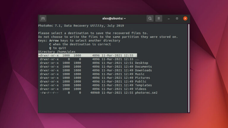 How to Recover Files from a Formatted SD Card for FREE