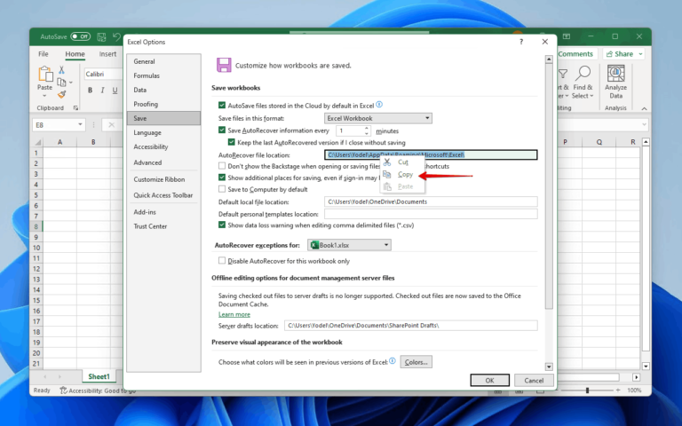 How to Recover Deleted or Lost Excel Files (2024)